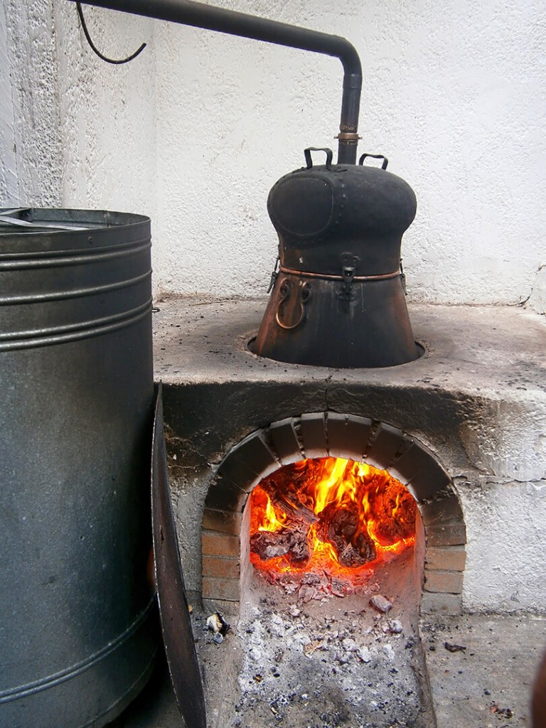 Get under the skin of Cretan culture | Walking Dimension