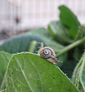 Walking Dimension | guided walks & more...